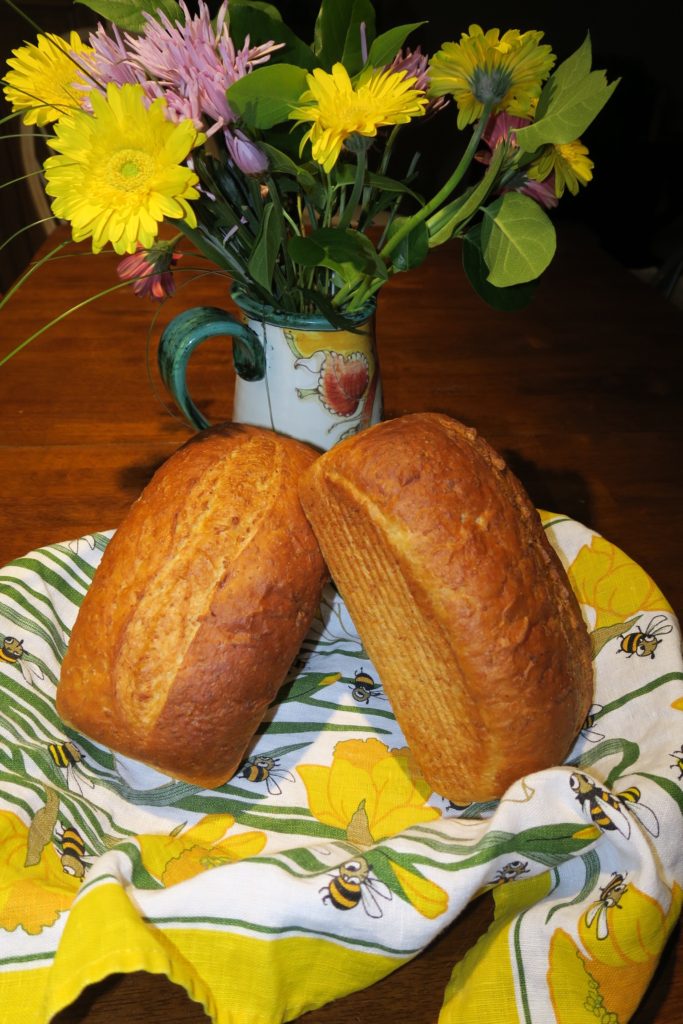 Bread Making Class San Diego | San Diego Artisan Bread School